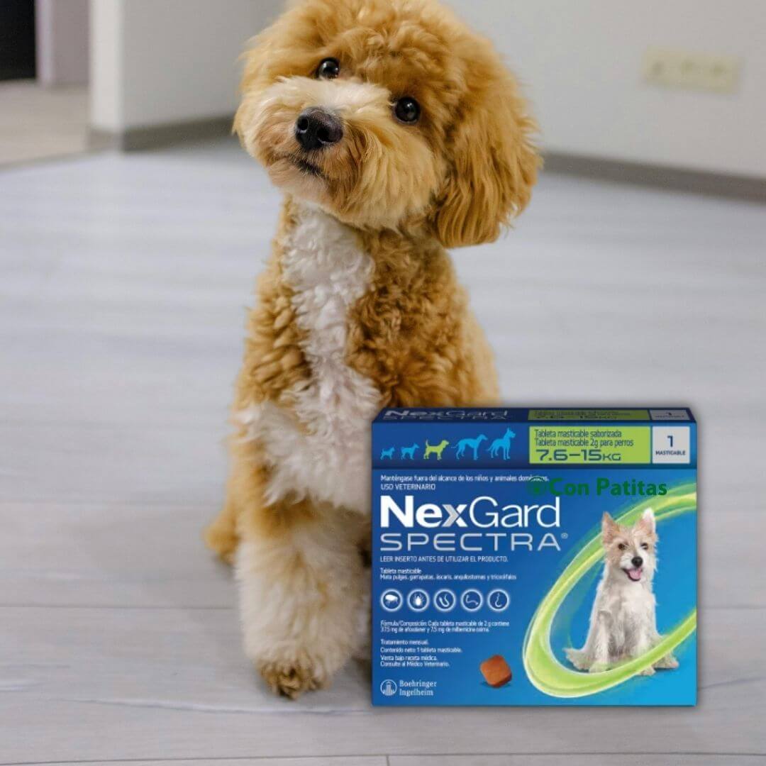 Nexgard Spectra 7.5kg a 15kg Antiparasitario y Antipulga Interno y Ext – Con Patitas