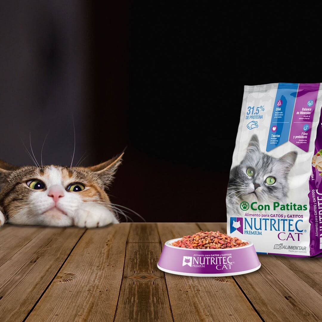 Nutritec Gatos y Gatitos – Con Patitas