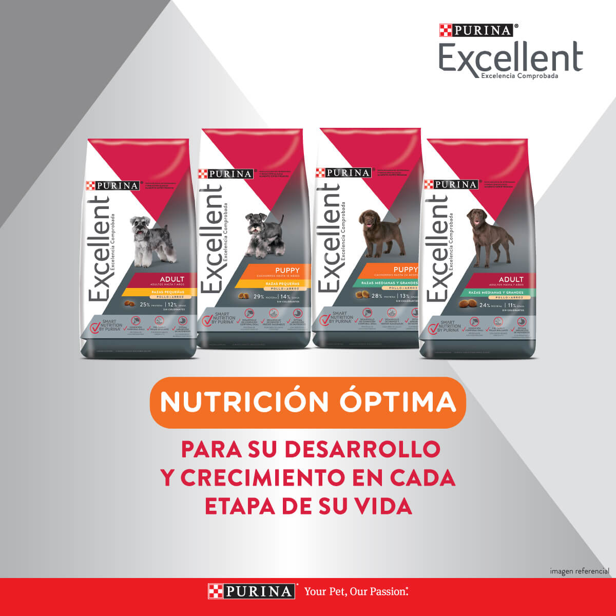 Excellent Purina Ecuador – Con Patitas