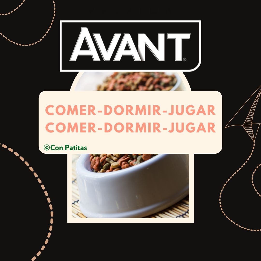 Avant - Alimentos Naturales y Nutritivos para Mascotas en Ecuador – Con ...