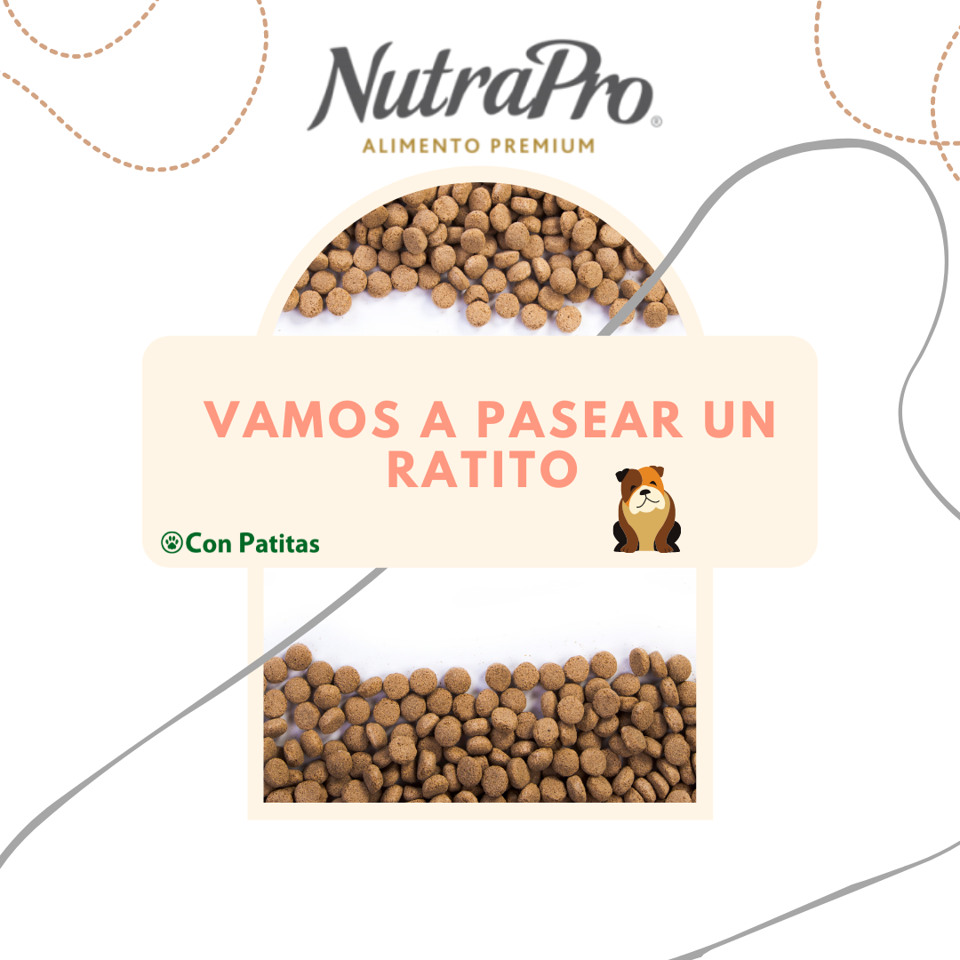 Nutra Pro – Con Patitas
