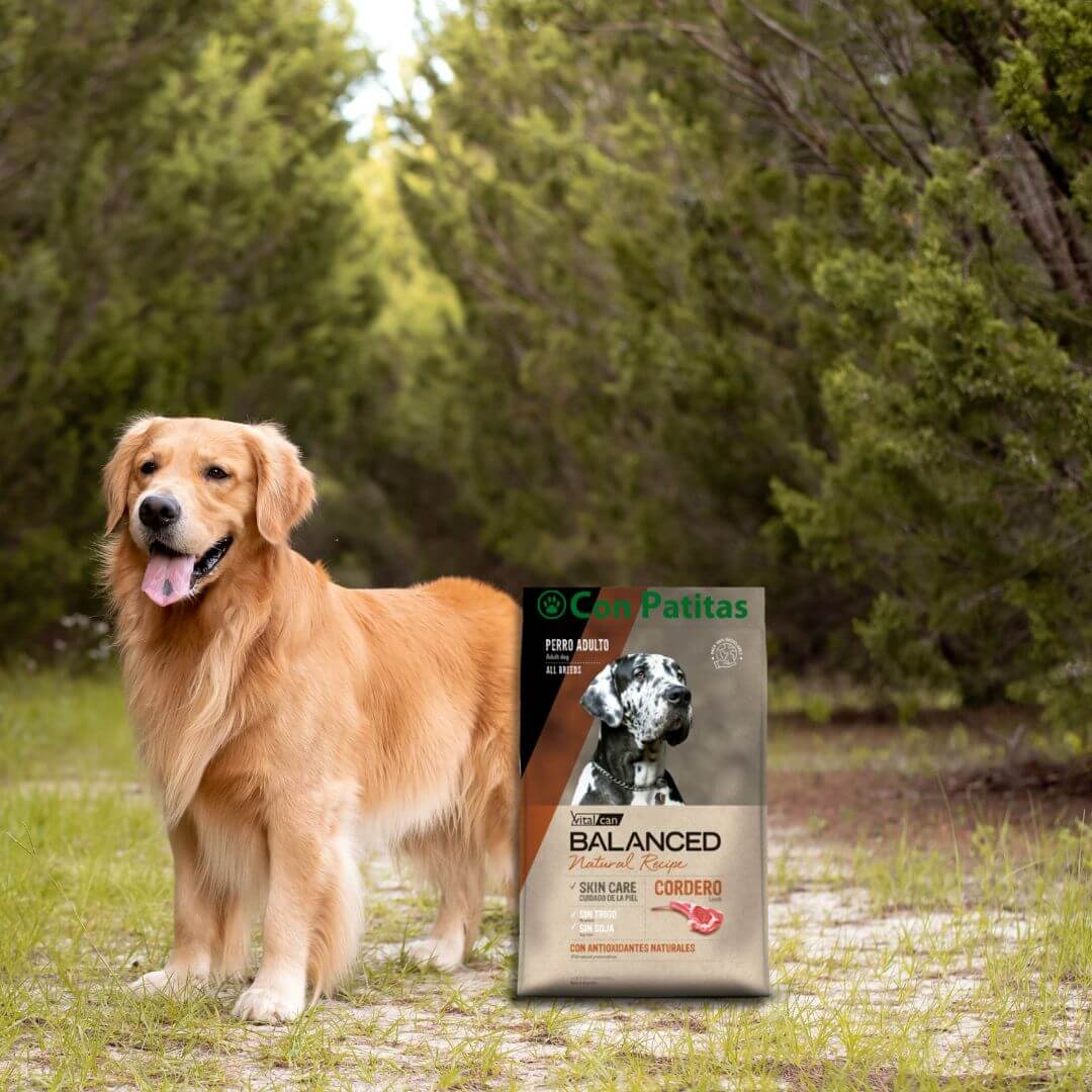 Vital Can Cordero Balanced Natural Recipe Super Premium – Con Patitas
