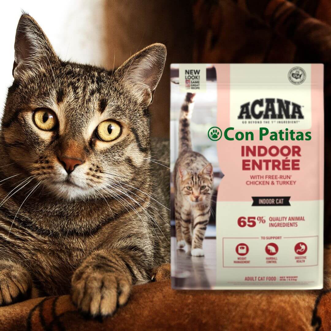 Acana Indoor Gatos Adultos de Pavo y Pollo Para Interiores – Con Patitas