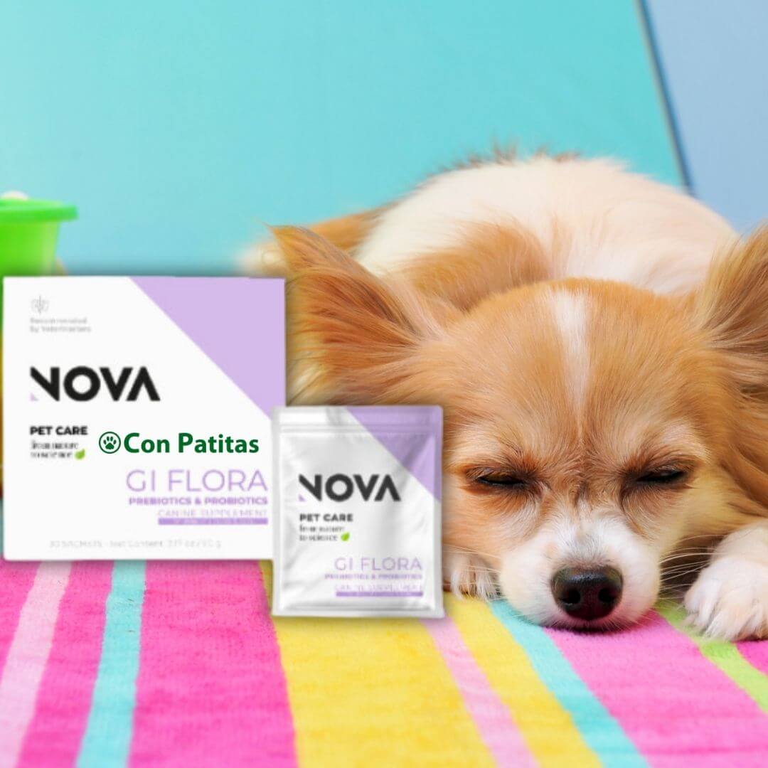 Nova Flora GI Probiótico y Prebiótico Para Perros – Con Patitas