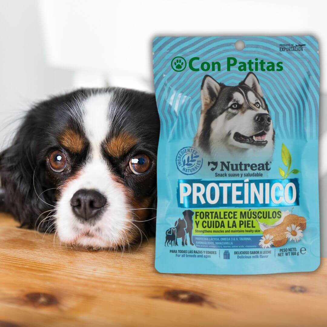 Nutreat Proteínico Snack Galletas de Perro Nutritivas Super Premium ...