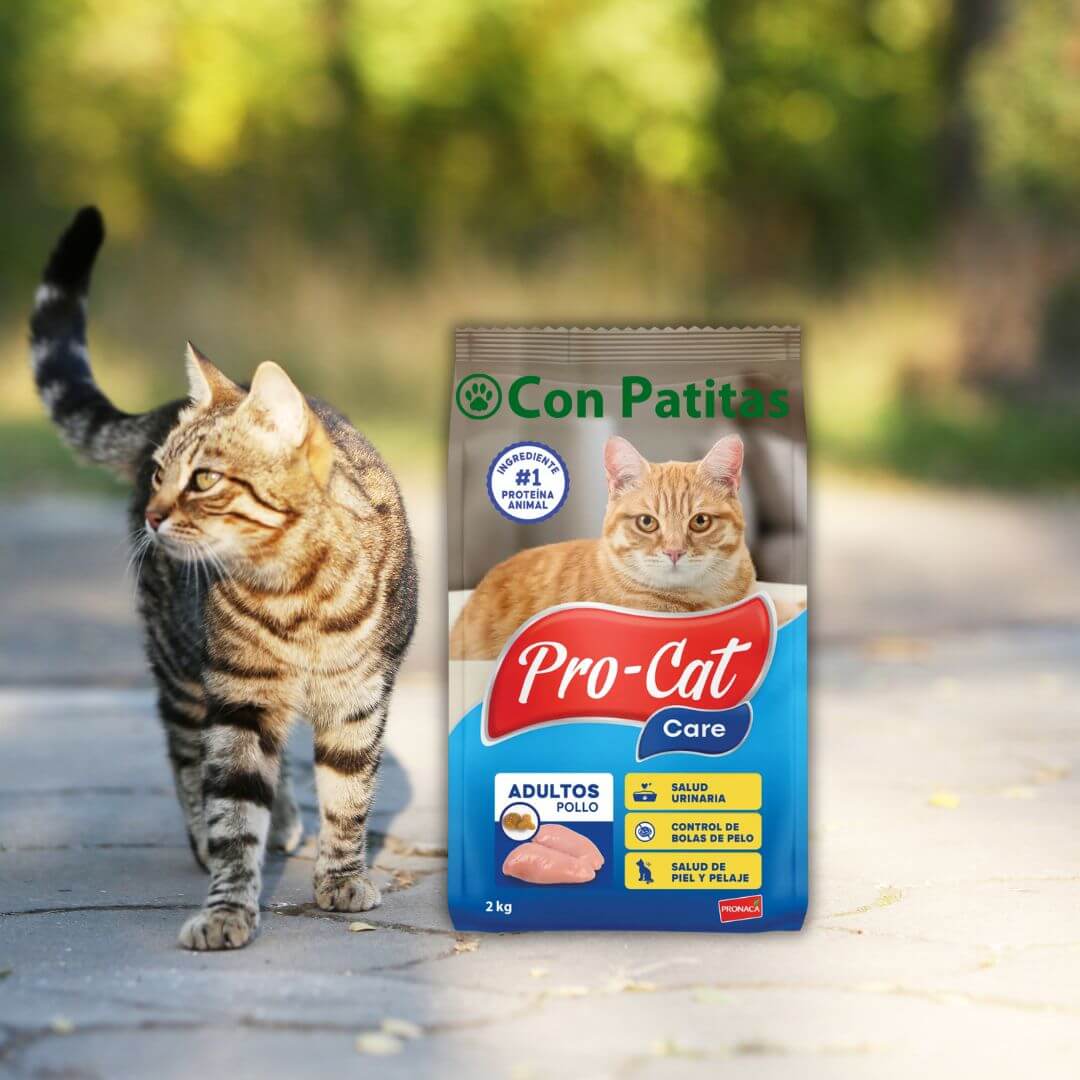 Pro Cat de Pollo Gatos Adultos – Con Patitas