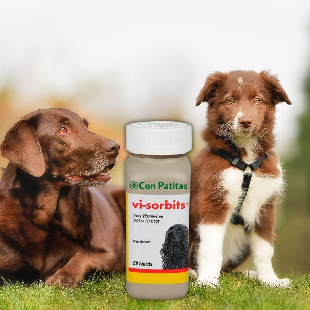 Visorbits Vitaminas para Perros Multivitamínico Premium – Con Patitas