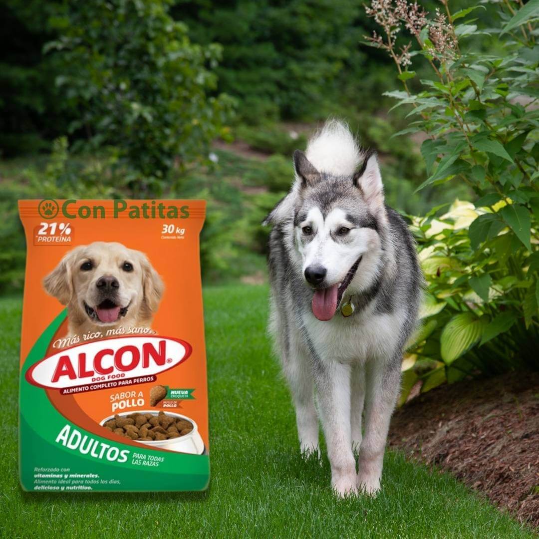 Alcon para perros adultos 30kg – Con Patitas
