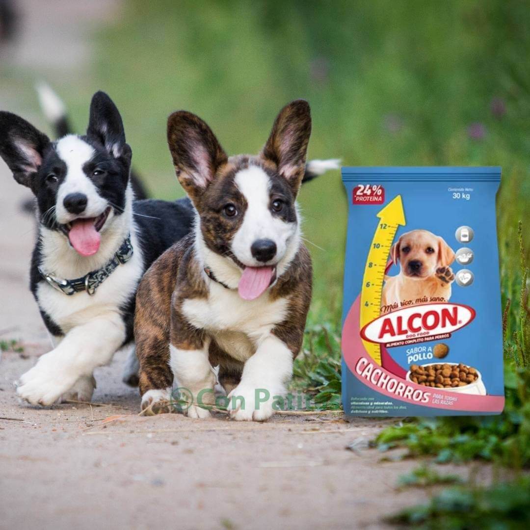Alcon para cachorros comida de perro 30kg – Con Patitas