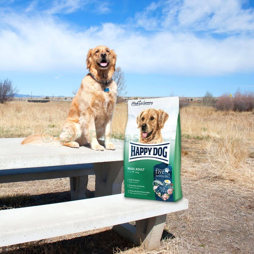 Happy Dog Maxi Adult Super Premium – Con Patitas