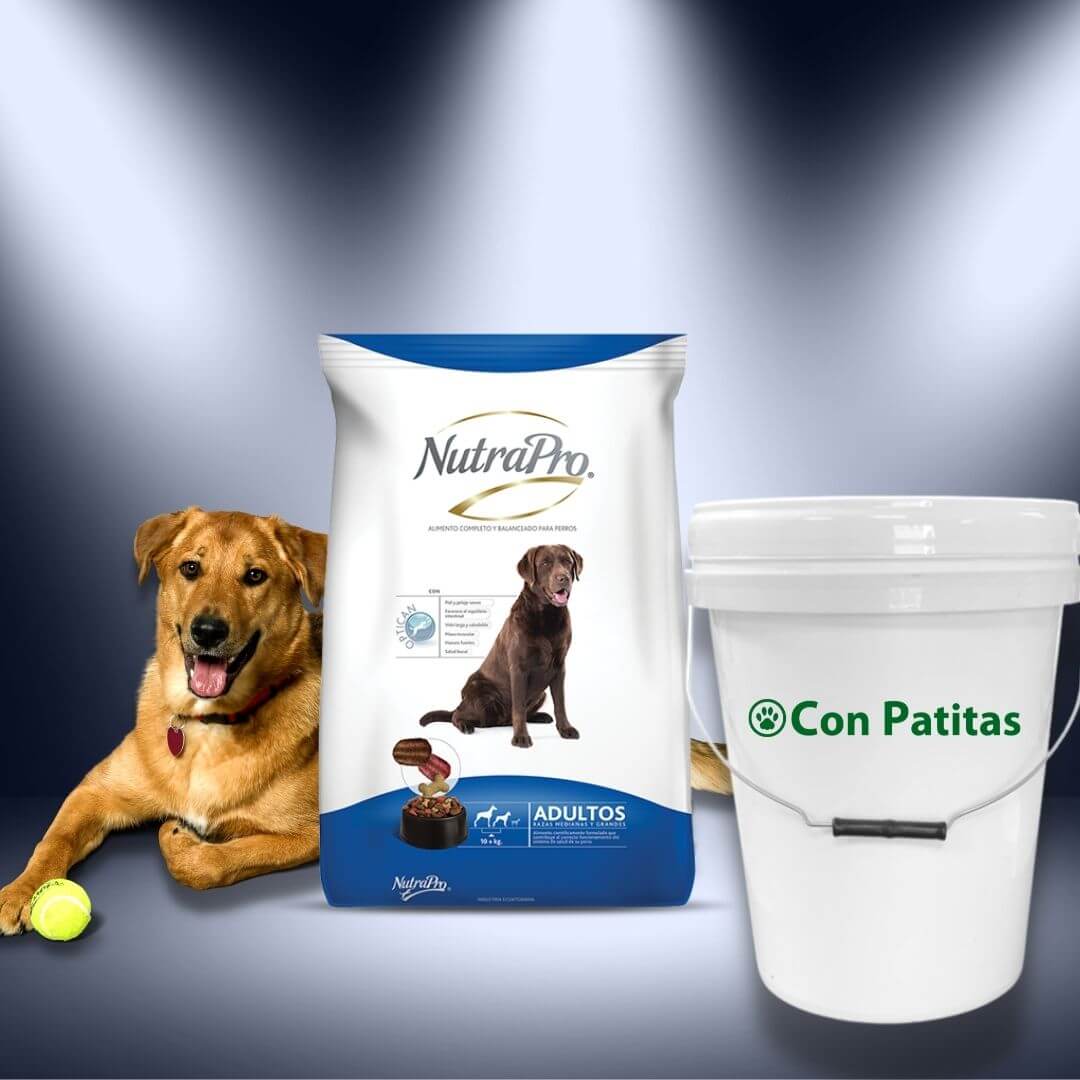 Nutra Pro domicilio adultos razas medianas a grandes para perro Quito ...