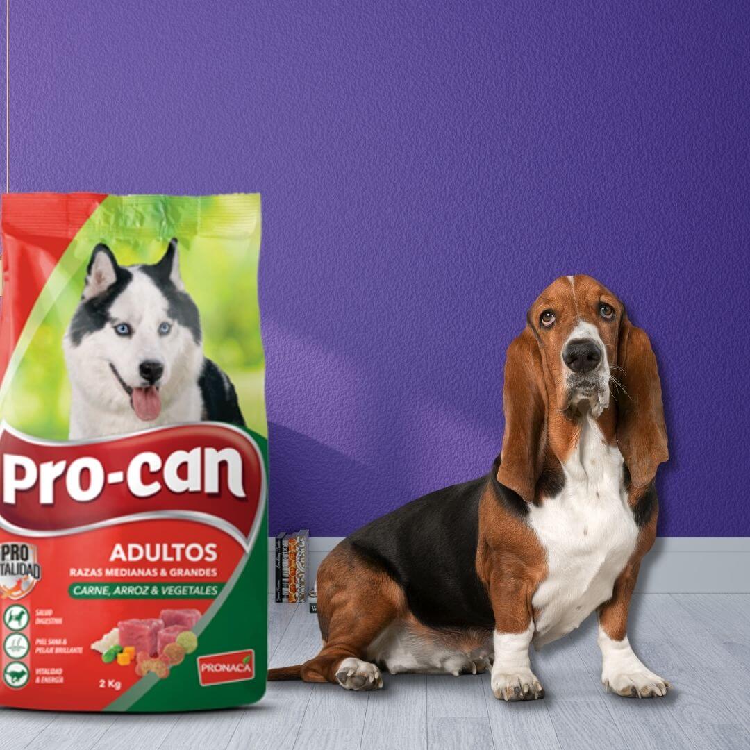 Pro Can a domicilio Adultos medianas y grandes para perro Carne – Con ...