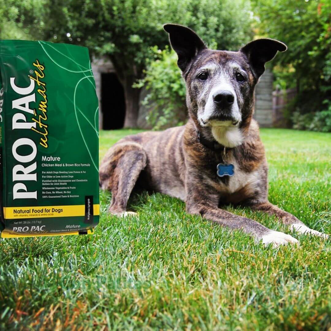 Pro Pac adultos mayores senior varias razas – Con Patitas